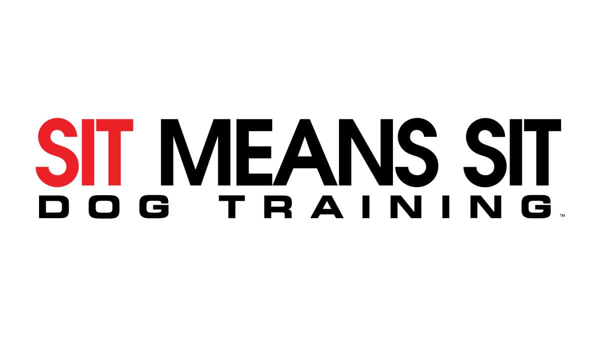 Dog and Puppy Training in Philadelphia, PA • Sit Means Sit Dog Training